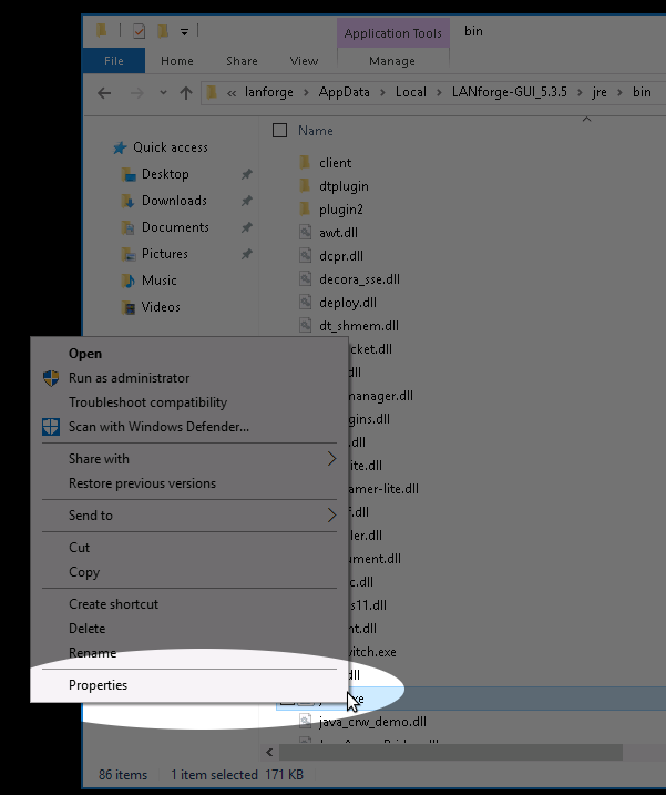 LANforge Client Install Guide